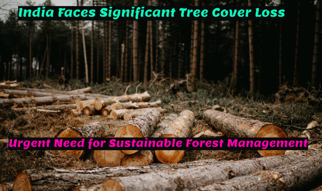 India Faces Significant Tree Cover Loss: Global Forest Watch Data ...
