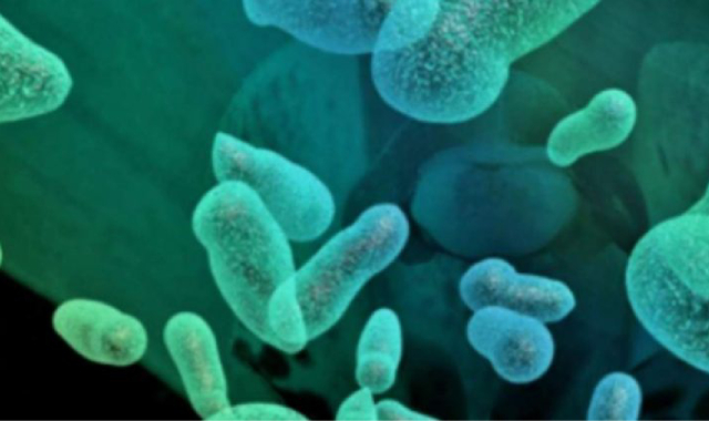 Israeli scientists develop bacteria which “eat” only carbon dioxide.