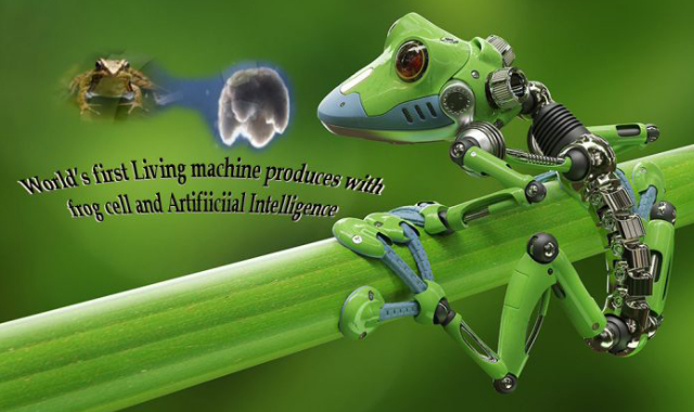 World’s First ‘Living Machine’ Created Using Frog Cells and Artificial ...