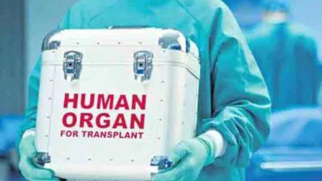 Govt introduces first-ever guidelines for organ transportation across ...
