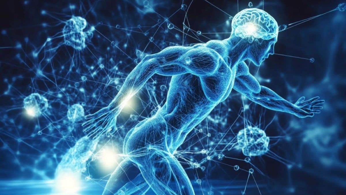 Study reveals exercise stimulates neuron growth, paving way for new ...