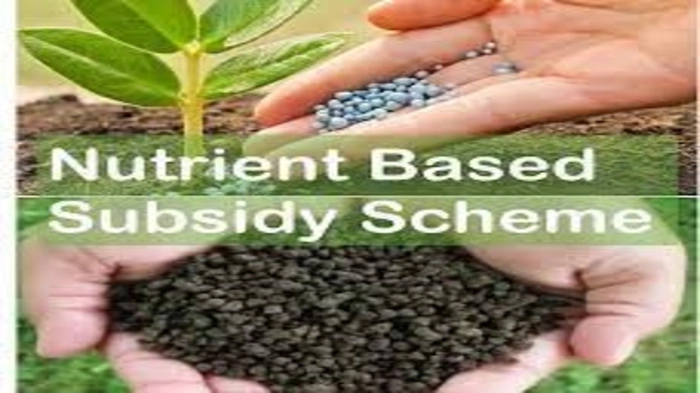 The Fertilizers Committee Warns About Underfunding of the Nutrient Subsidy Scheme (NBS)