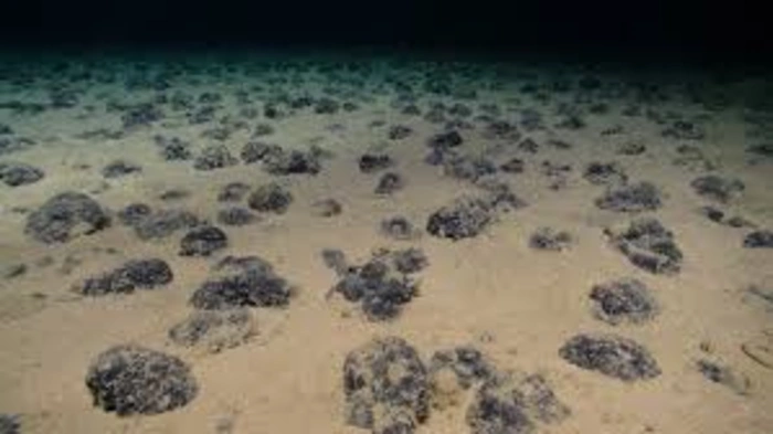 A recent study in Nature revealed that after more than 40 years, a ...