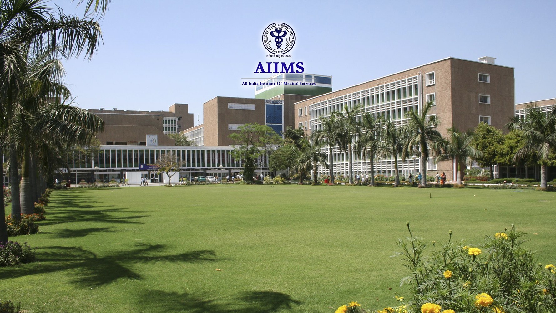 AIIMS Delhi reports around 430 vacant faculty positions, 35% of staff unfilled