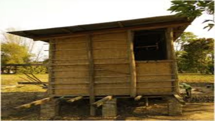The traditional bamboo bins, known as moras, utilized for storing paddy ...